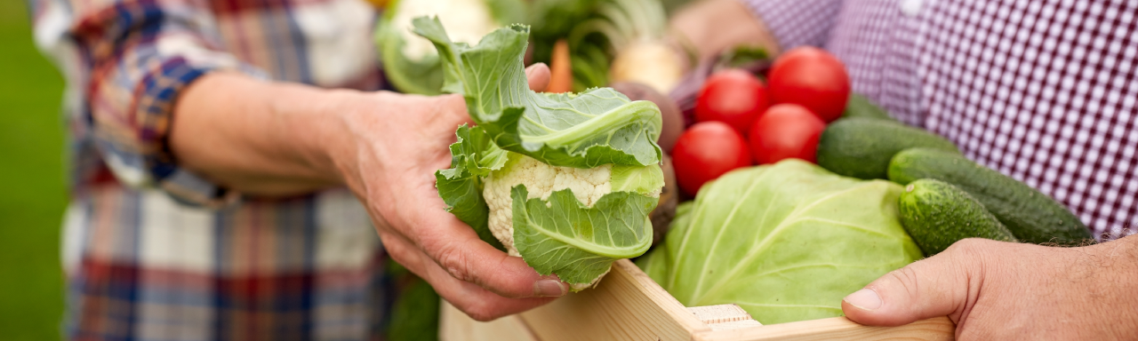 Movimiento Slow Food: Alimentación Digna y Sostenible